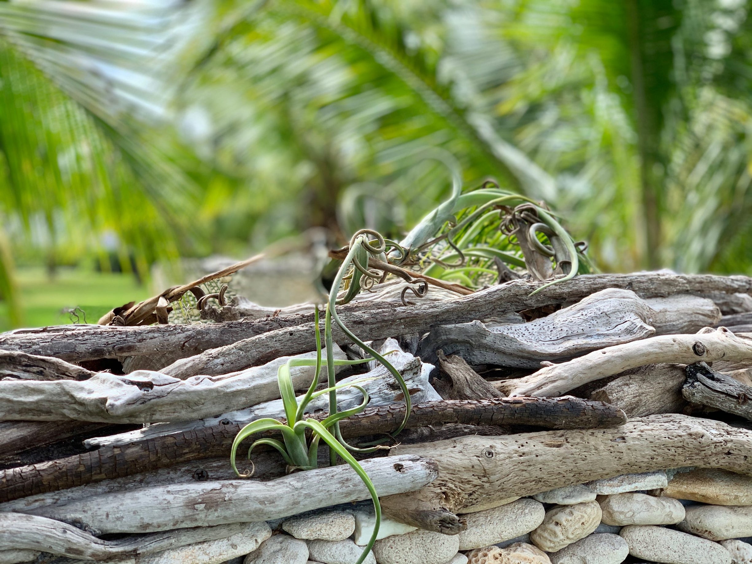 About – The Island Nest Shop